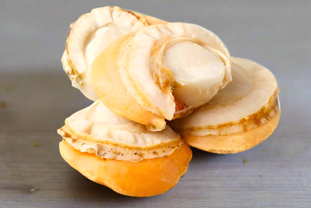 Boiled Scallop With Roe(L) 800G