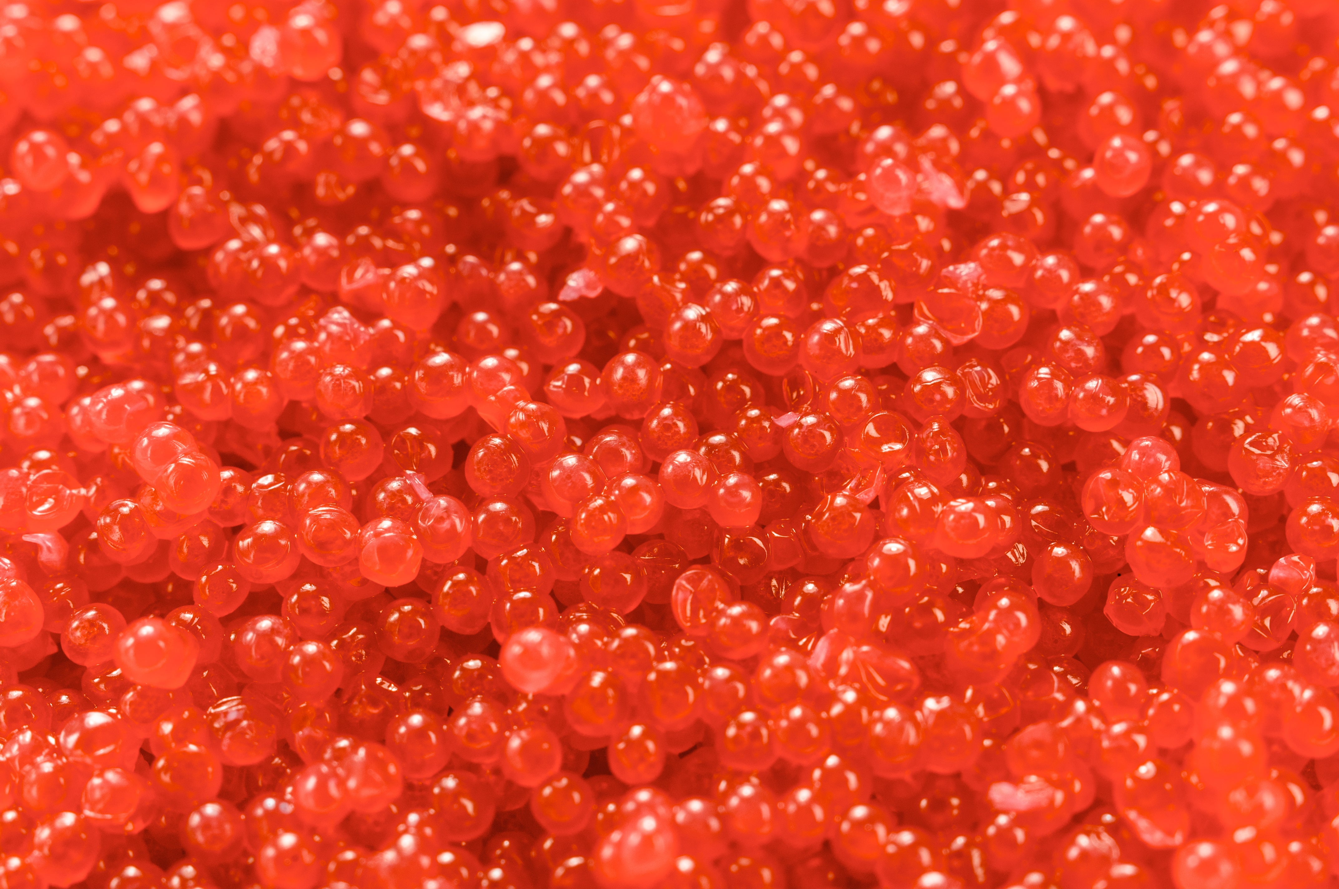 Capelin Roe Red 500G